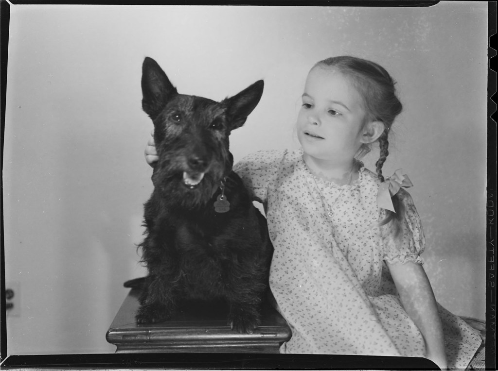 Press Negatives, Box 8, 1942 – Finding Joel Pahl Dardis